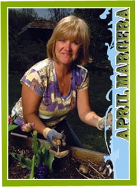 Interview With April Margera — PA Eats