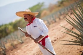 Special Edition Dish Trip: Mexico — PA Eats