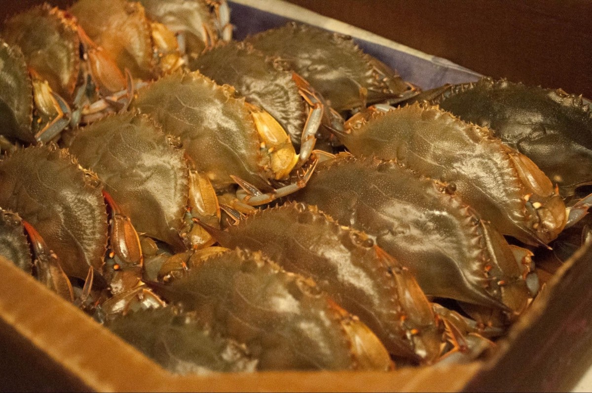 Everything You Need to Know About Samuels and Son Seafood in ...