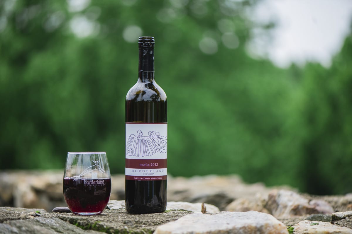 Everything You Need to Know About Borderland Vineyard — PA Eats