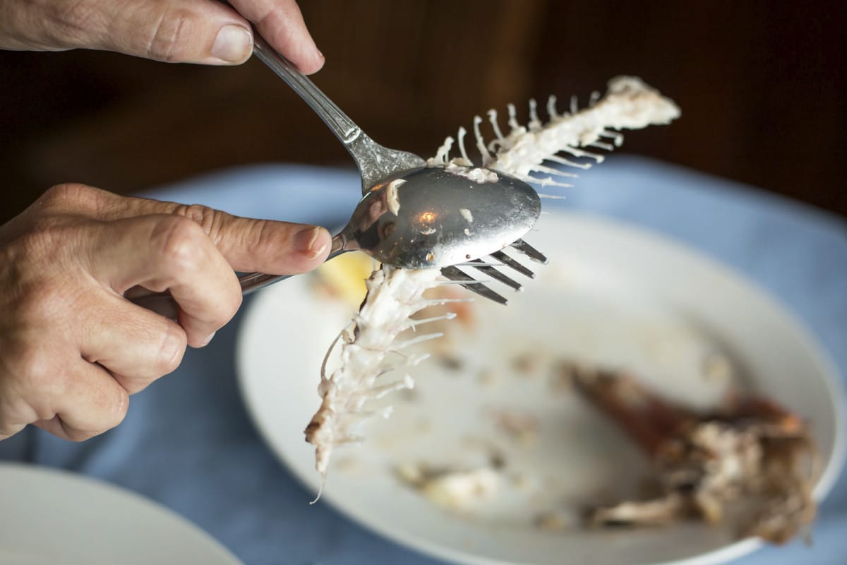 17 Most Dangerous Foods in the World — PA Eats