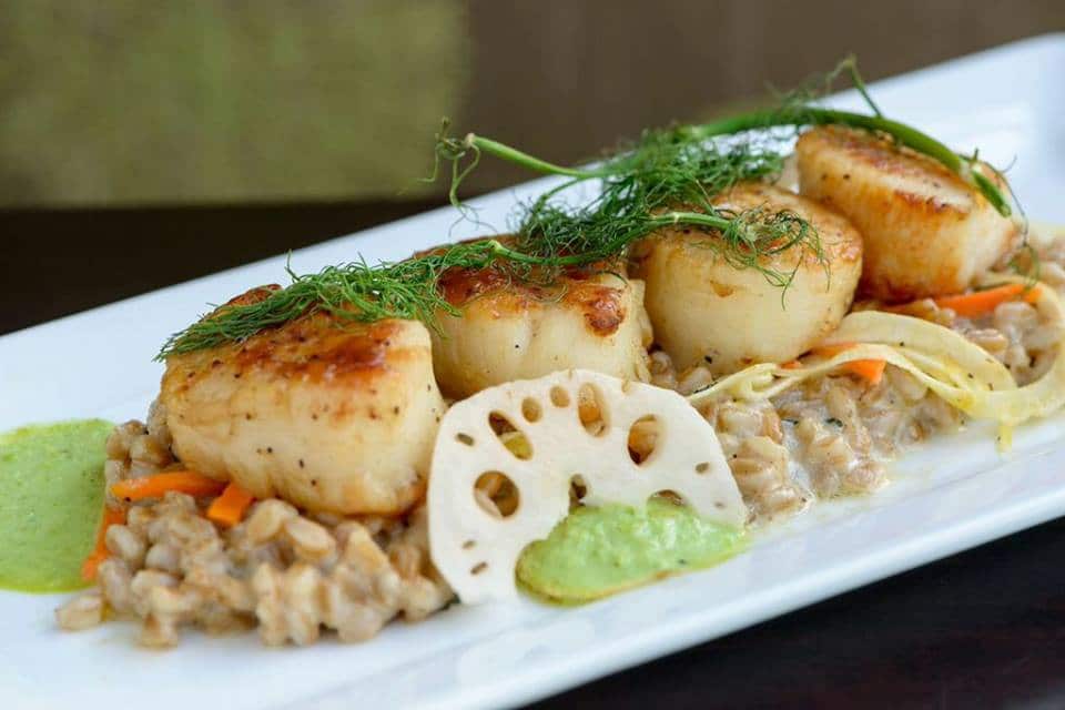 5 Facts You Didn’t Know About Harvest Seasonal Grill & Wine Bar — PA Eats
