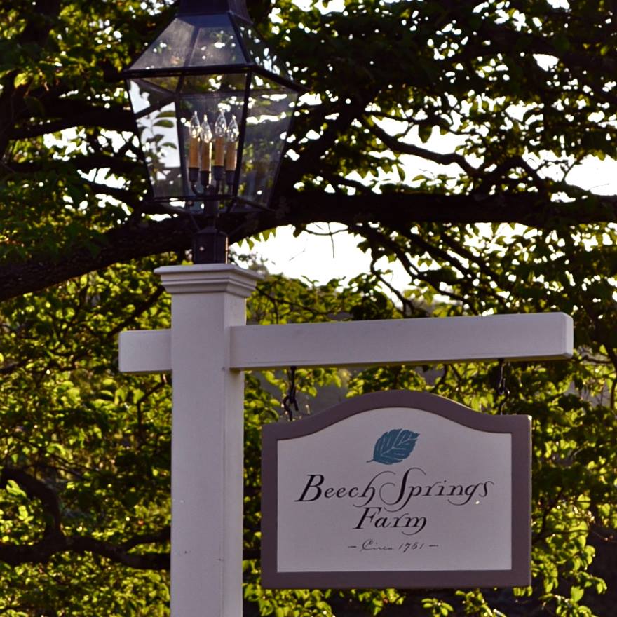 Living the Farm-to-Table Dream: A Q&A with Beech Springs Farm Owner ...