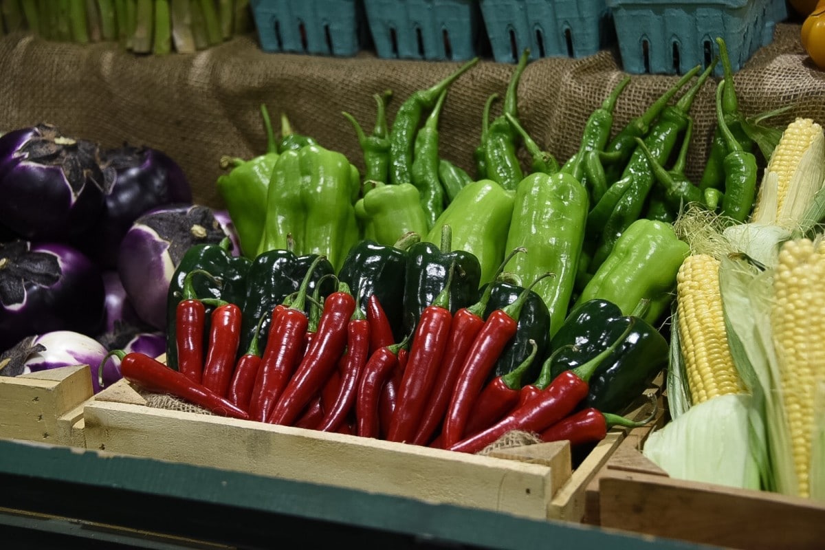 2016 Philly Farm and Food Fest — PA Eats