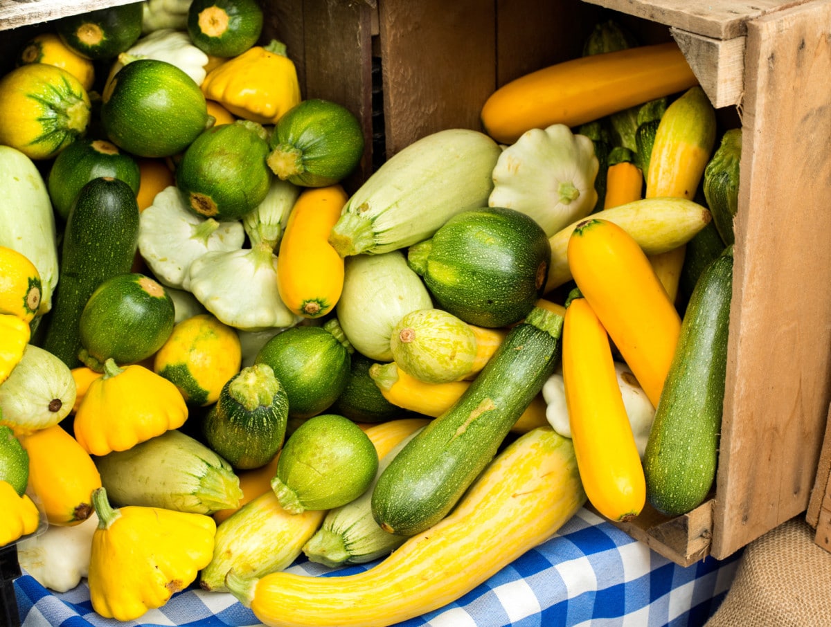 Celebrate Pennsylvania Produce Month in August with Top Chef Recipes ...