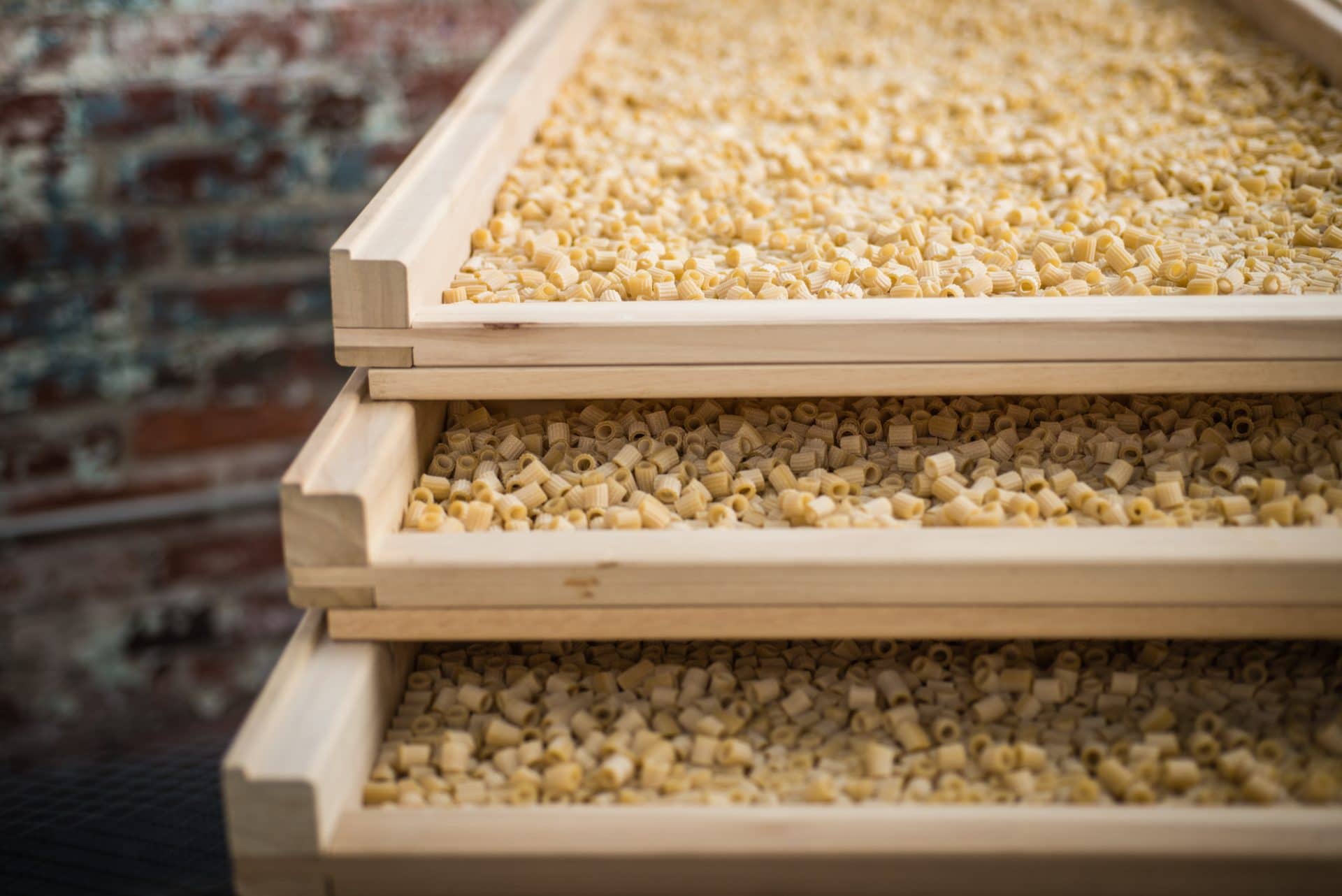 Vera Pasta Expands to Open New Storefront in West Chester — PA Eats