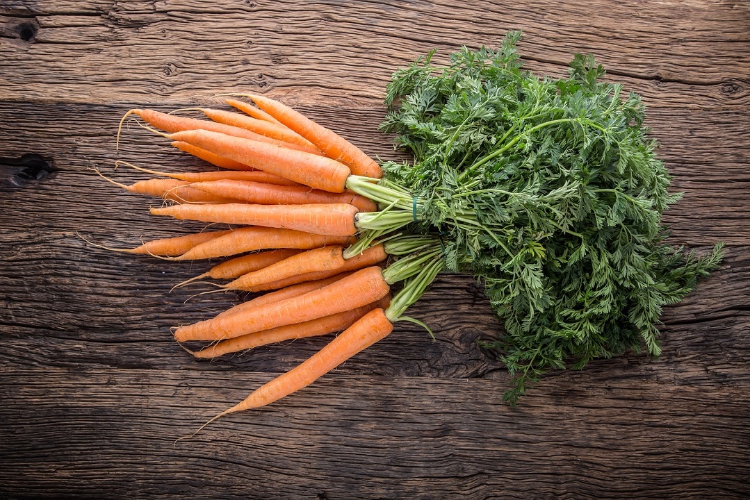 Throw Another Carrot on the Grill — PA Eats