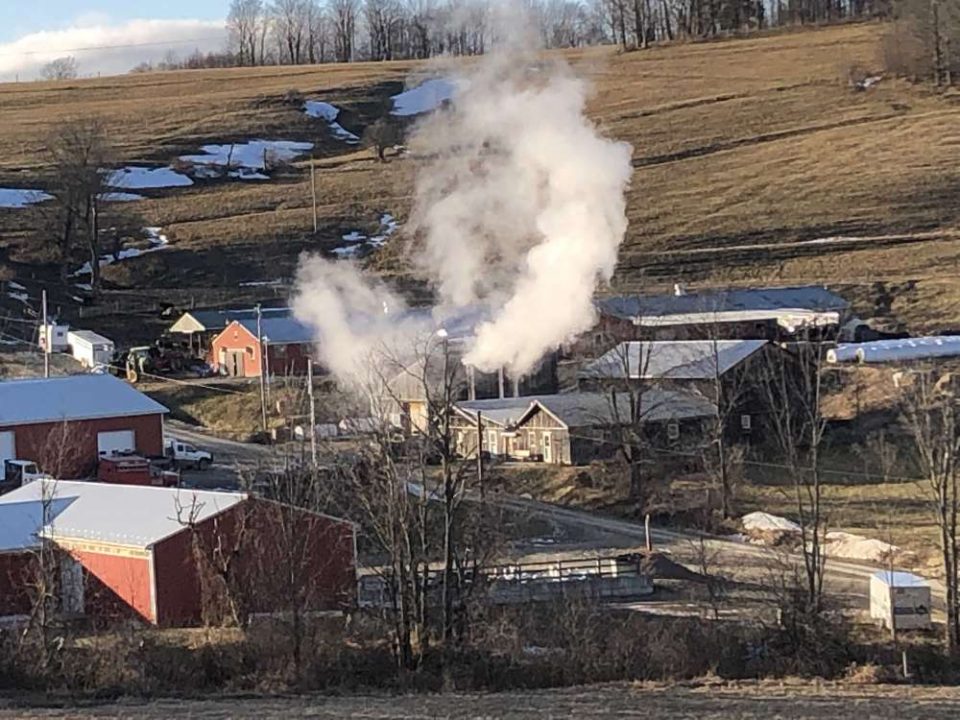 Everything You Need to Know About Pennsylvania Maple Syrup