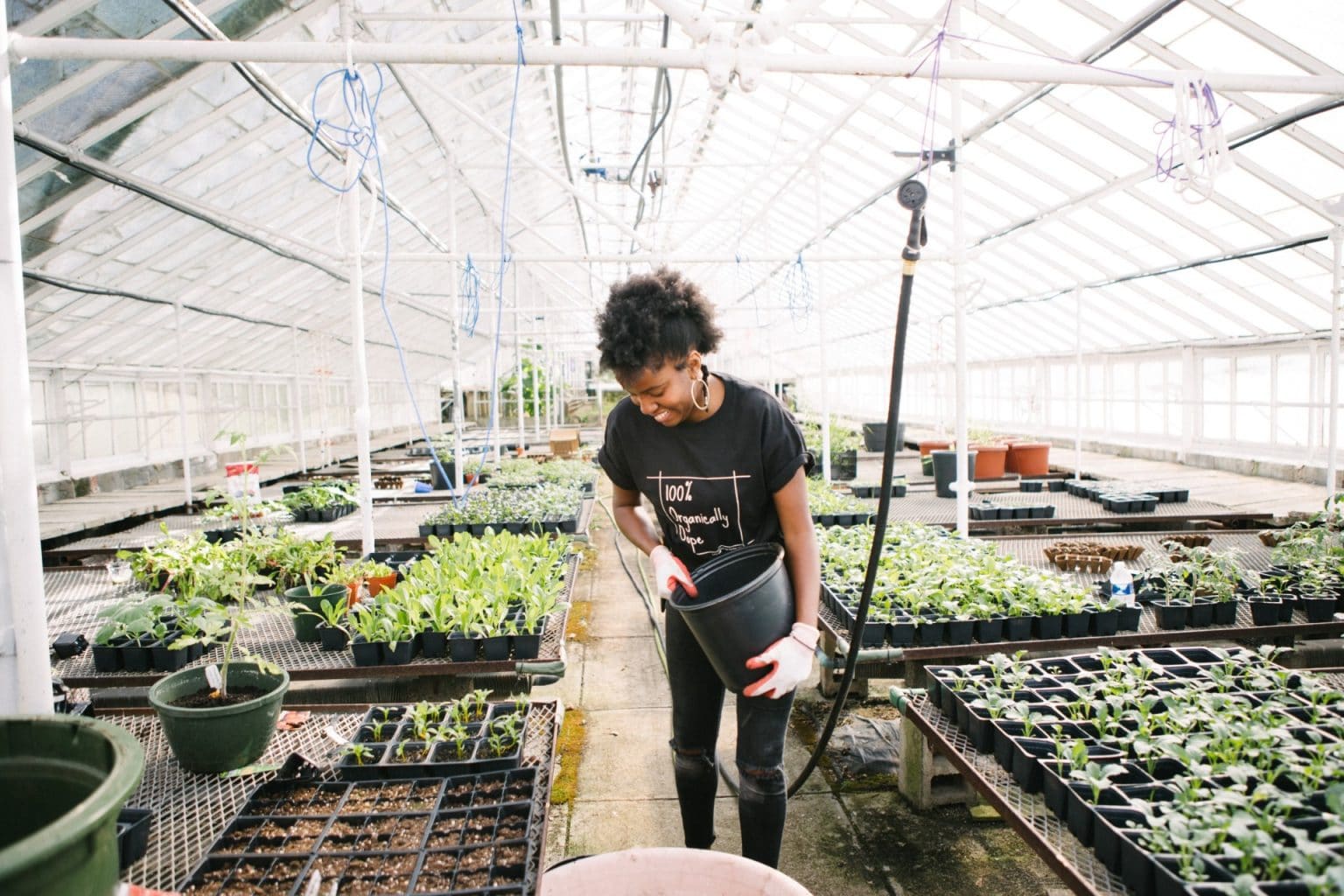 Meet the Farmer: Christa Barfield of FarmerJawn and Viva Life Tea