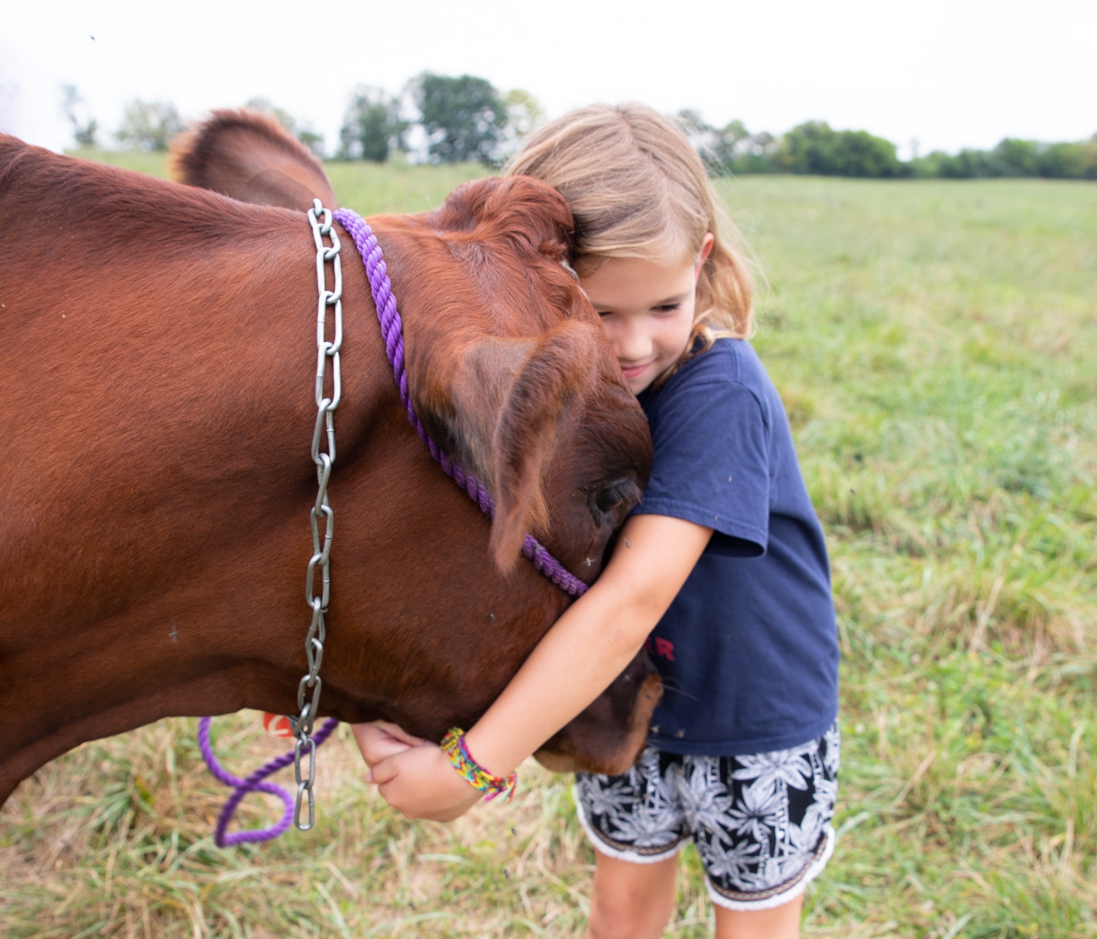 The Art of the Amish Half-Moon Pie | How to Make Amish Half-Moon Pie
