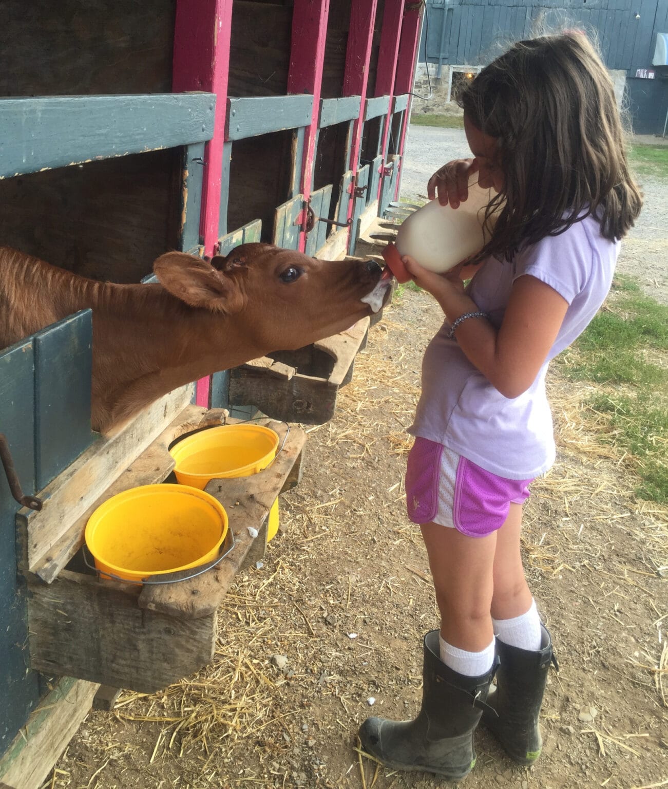 15 Farm Camps and Educational Programs in PA | Farm Camps in PA