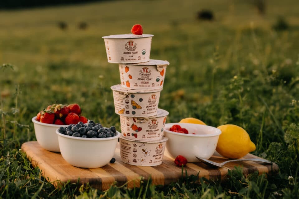 Meet the Farmer: Painterland Sisters Yogurt