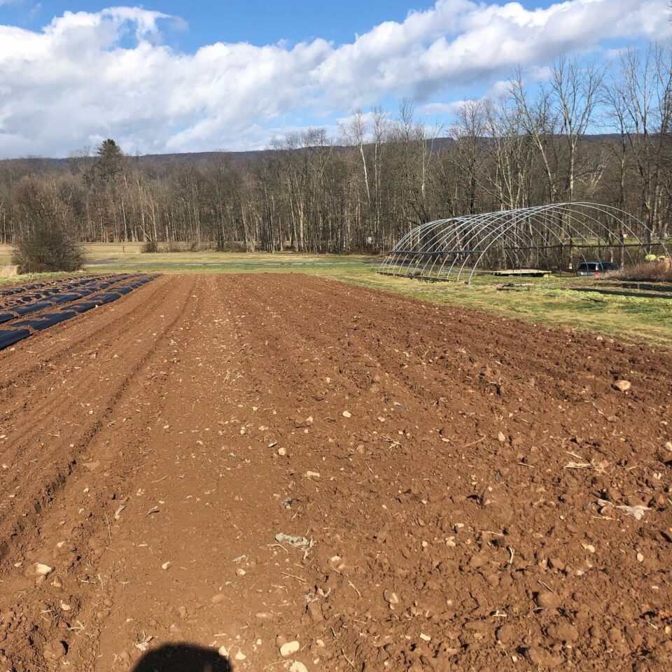 Meet the Farmer: Jarrah Salazar Cernas of Chicano Sol Farm