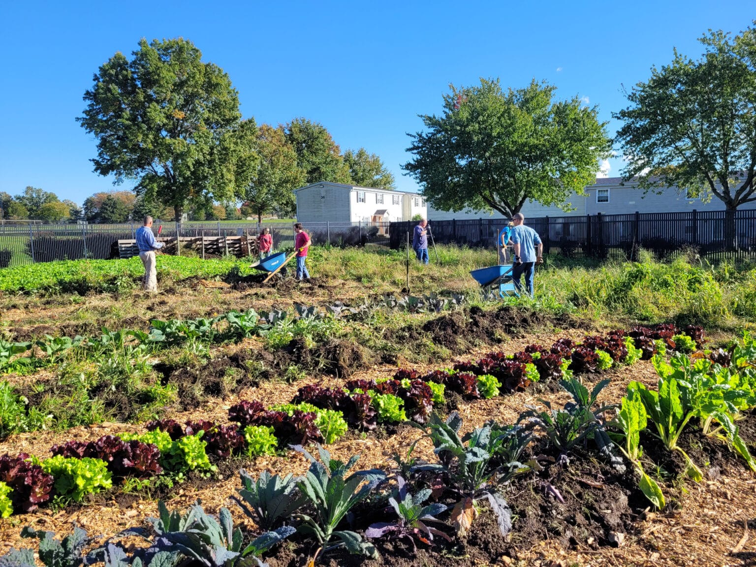 12 Farm Camps and Educational Programs in PA | Farm Camps in PA