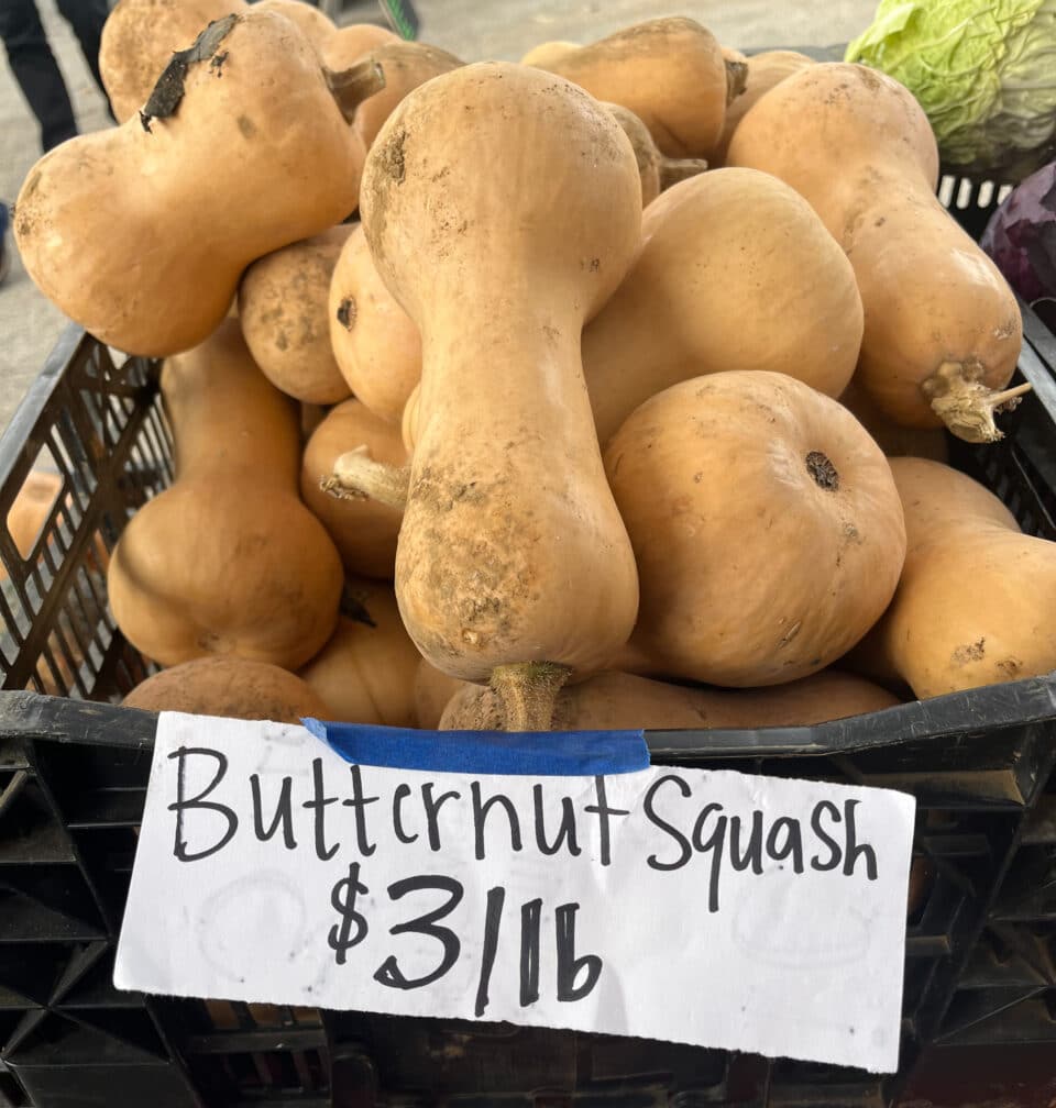 The Pennsylvania Winter Squash Guide