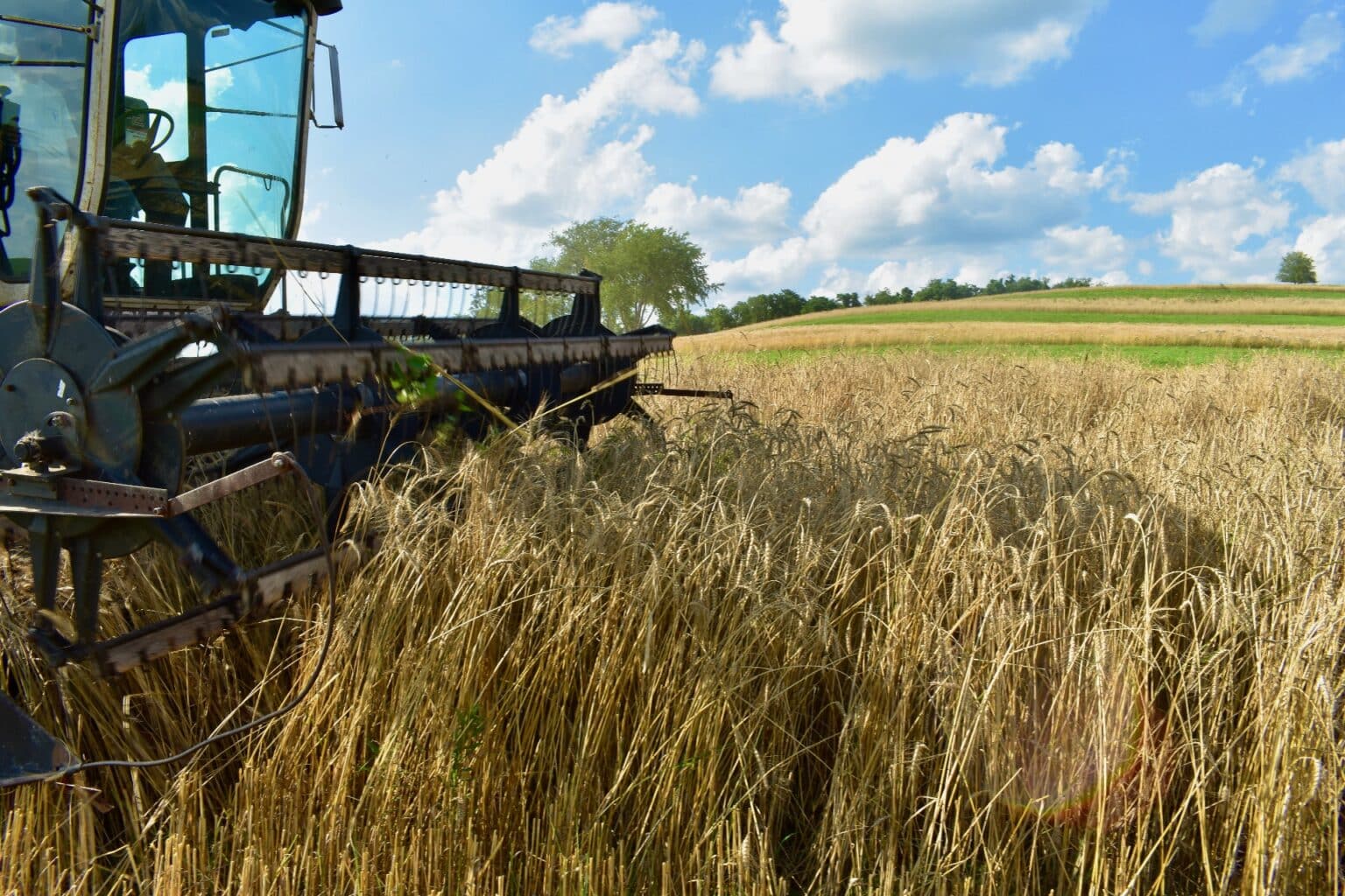 Meet the Farmer: Painterland Sisters Yogurt