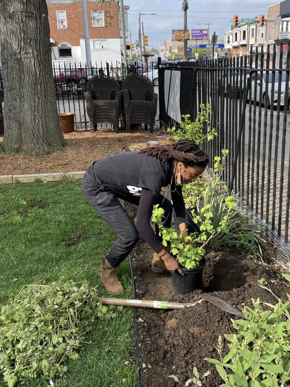 Growing Food Across the City with the Philadelphia Orchard Project — PA ...