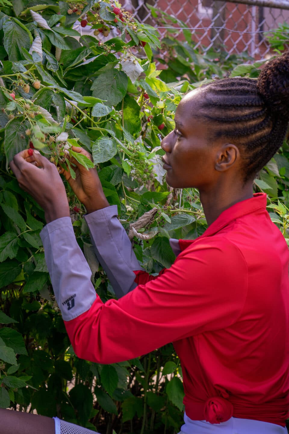 Growing Food Across the City with the Philadelphia Orchard Project — PA ...