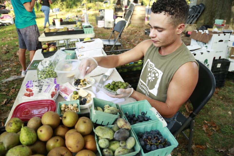 Growing Food Across the City with the Philadelphia Orchard Project — PA ...