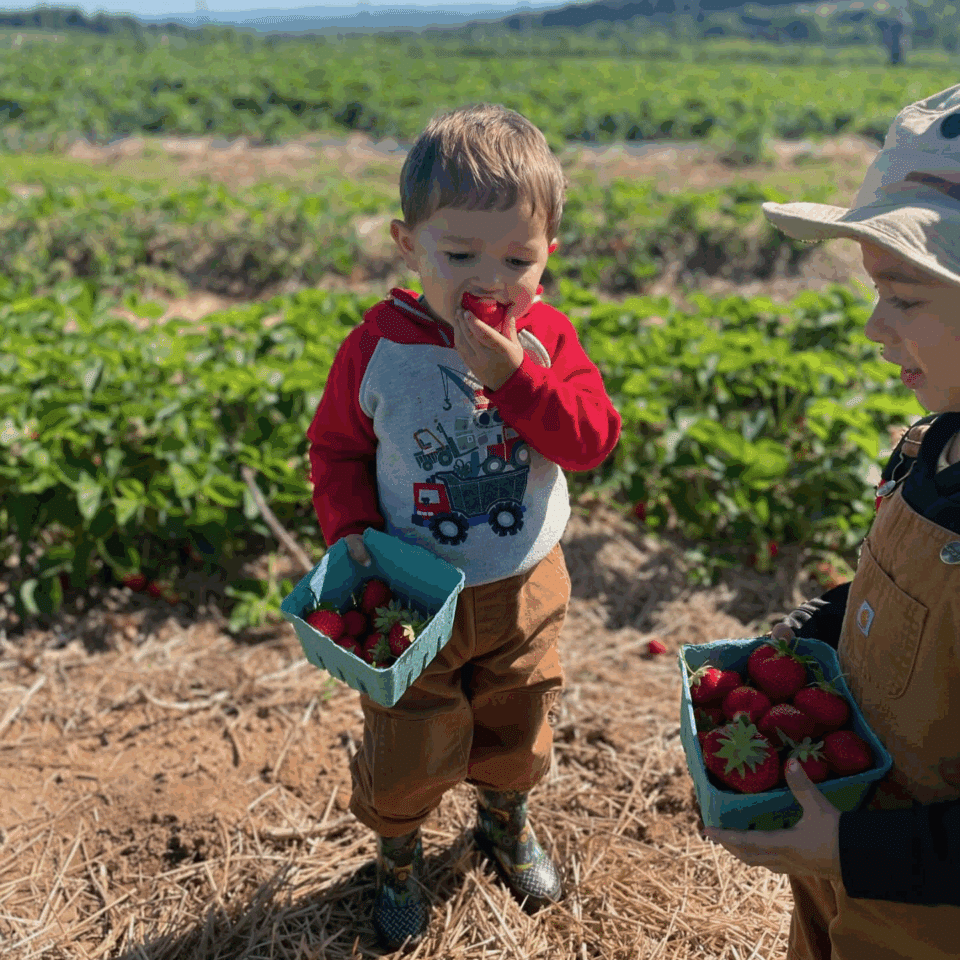 PA Preferred Spotlight: Rohrbach's Farm — PA Eats