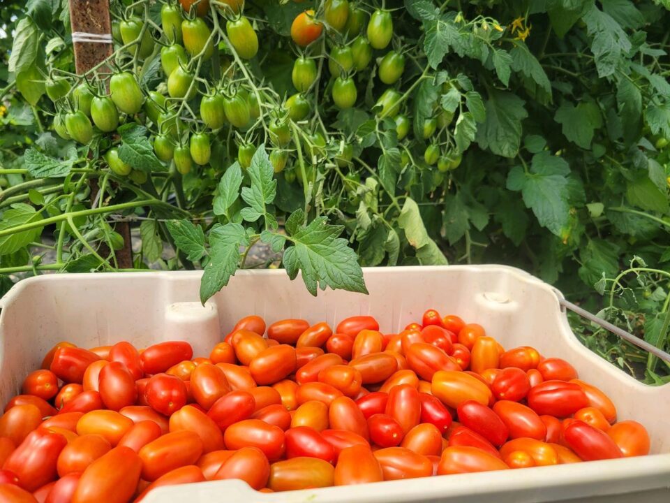 PA Preferred Spotlight: Soergel Orchards — PA Eats
