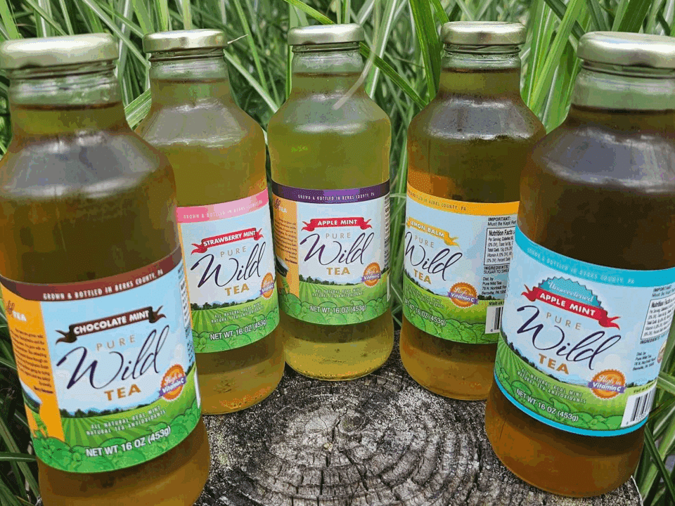 PA Preferred Spotlight: Pure Wild Tea — PA Eats